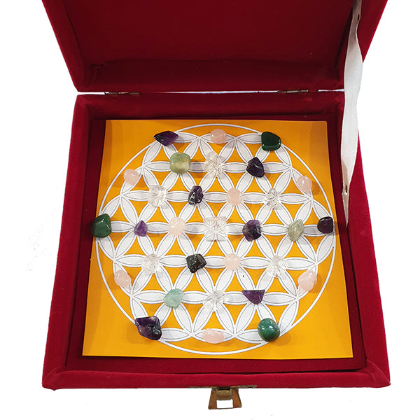 Education Crystal Tumbles Grid Box – Study Focus & Memory Support Crys